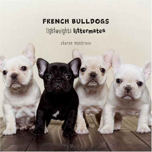French Bulldogs: Lightweights Littermates by Sharon Montrose | Goodreads