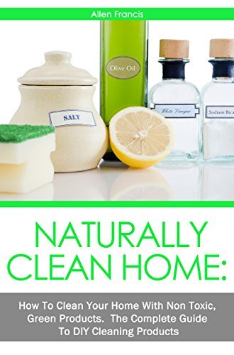 Naturally Clean Home: How To Clean Your Home with non toxic Green ...