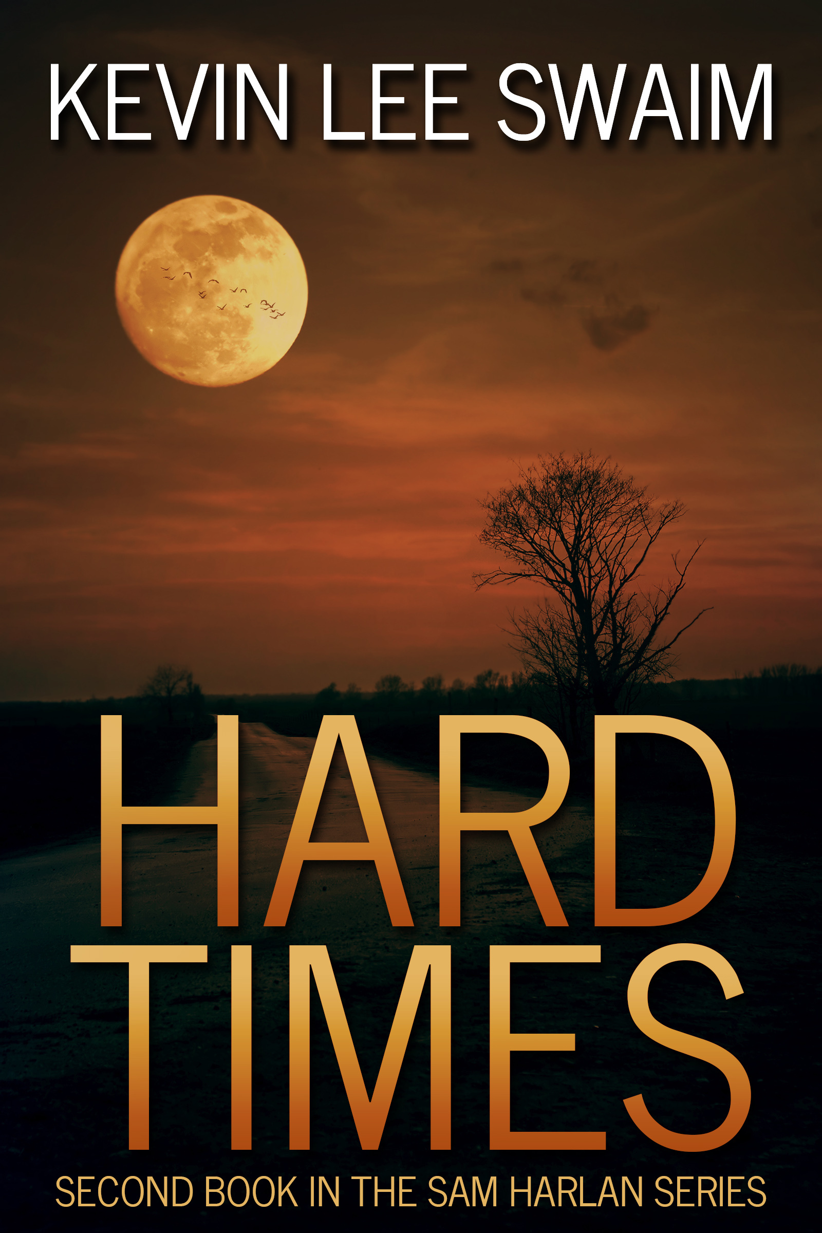 Hard Times (Sam Harlan #2) by Kevin Lee Swaim | Goodreads