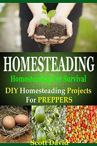 Homesteading: Homesteading For Survival: Homesteading Projects For ...