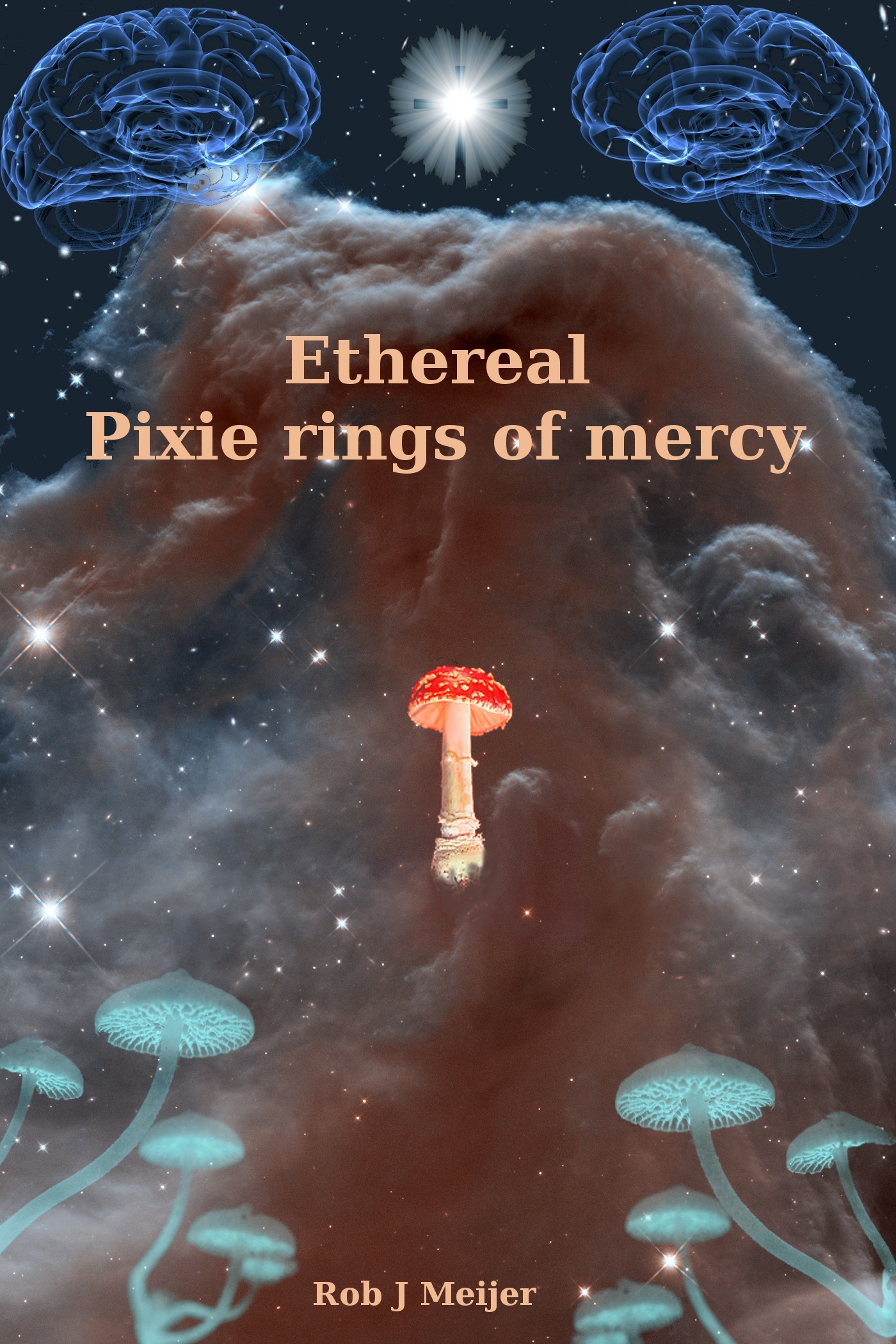 Ethereal Pixie Rings Of Mercy by Rob J. Meijer | Goodreads