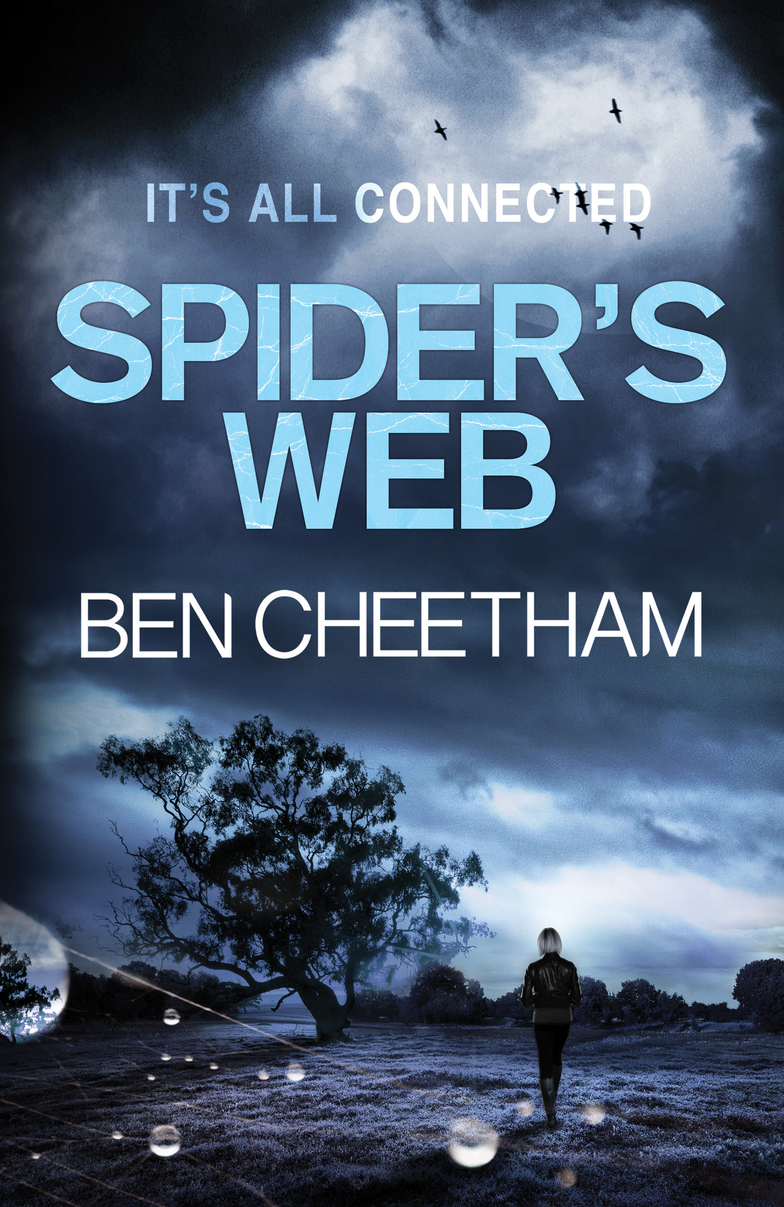 Spider's Web by Ben Cheetham | Goodreads