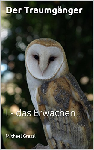Der Traumgänger: I - das Erwachen by Michael Grassl | Goodreads