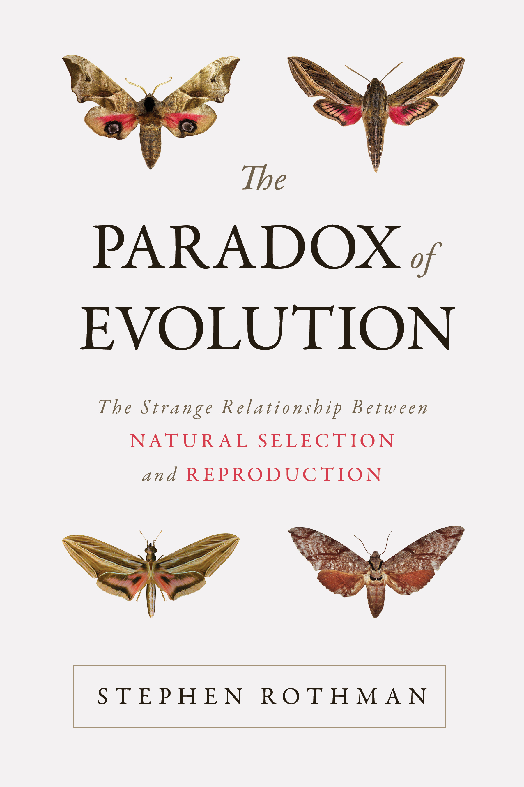 The Paradox of Evolution: The Strange Relationship between Natural ...