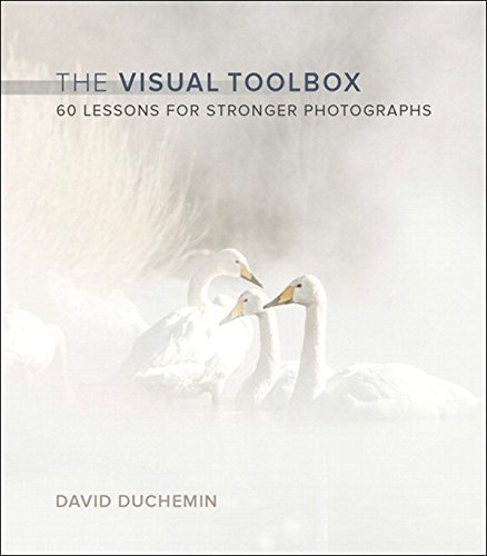 Visual Toolbox, The: 60 Lessons for Stronger Photographs by David ...