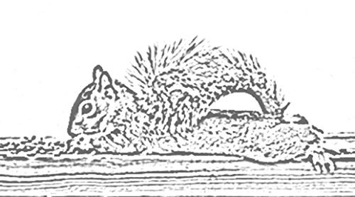 When Robert Died by Revoy Hamilton | Goodreads