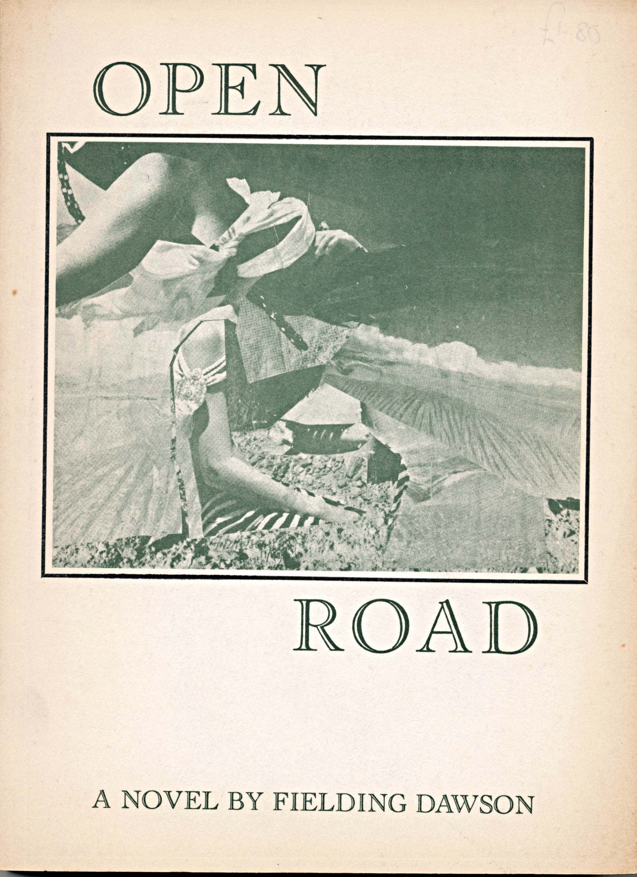 Open Road: A Novel by Fielding Dawson | Goodreads