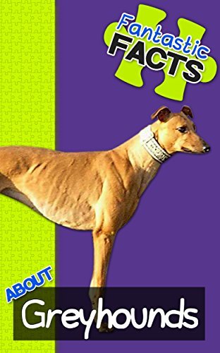 Fantastic Facts About Greyhounds: Illustrated Fun Learning For Kids by ...