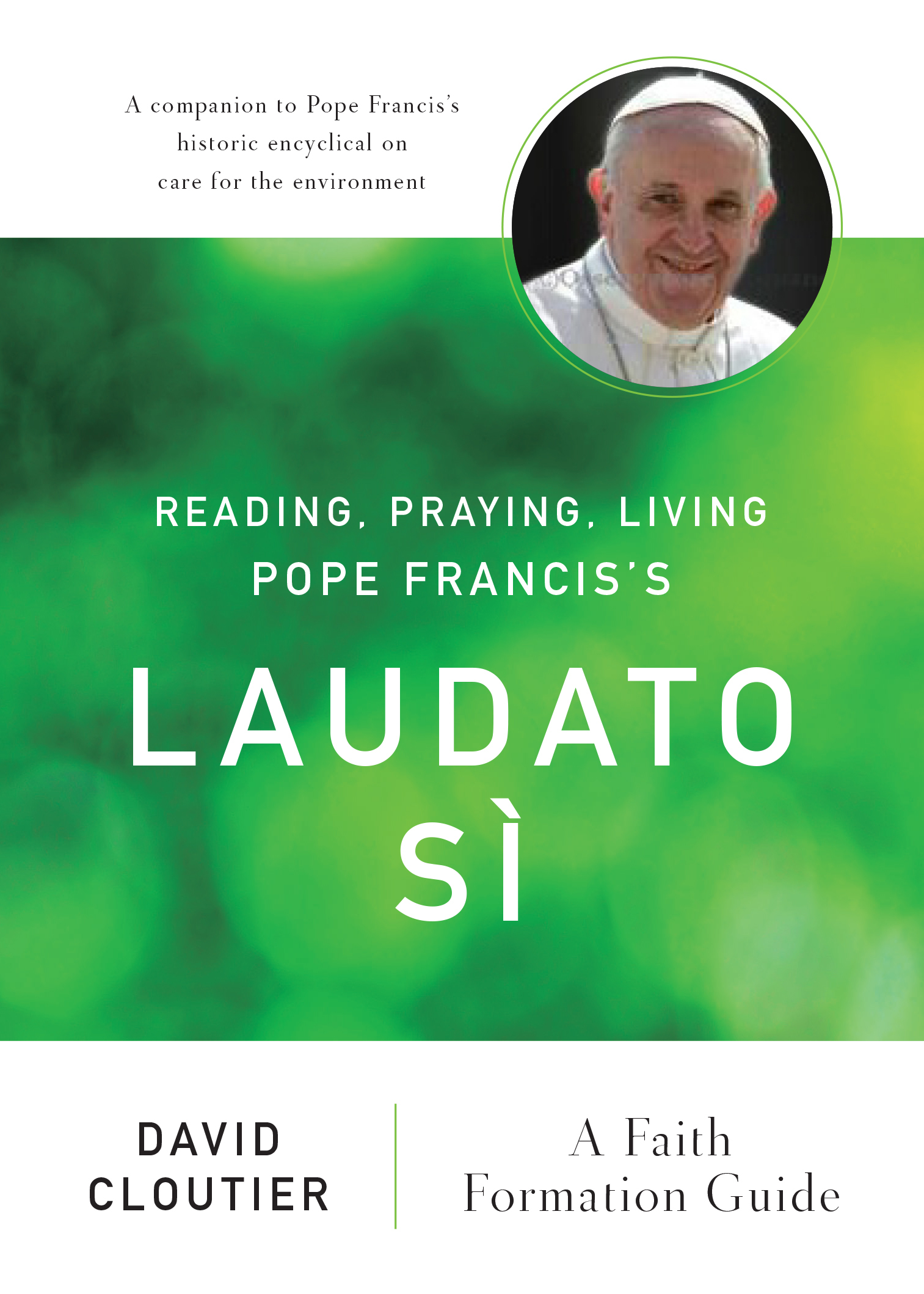 Reading, Praying, Living Pope Francis's Laudato Sì: A Faith Formation ...