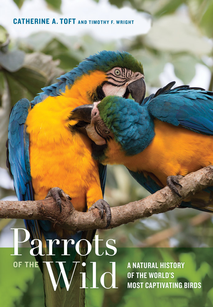 Parrots of the Wild: A Natural History of the World’s Most Captivating ...