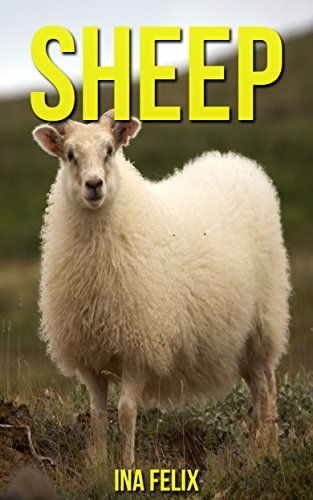 Sheep: Children Book of Fun Facts & Amazing Photos on Animals in Nature ...