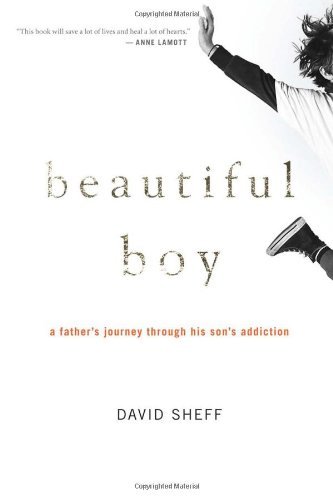 Beautiful Boy: A Father's Journey Through His Son's Addiction by David ...