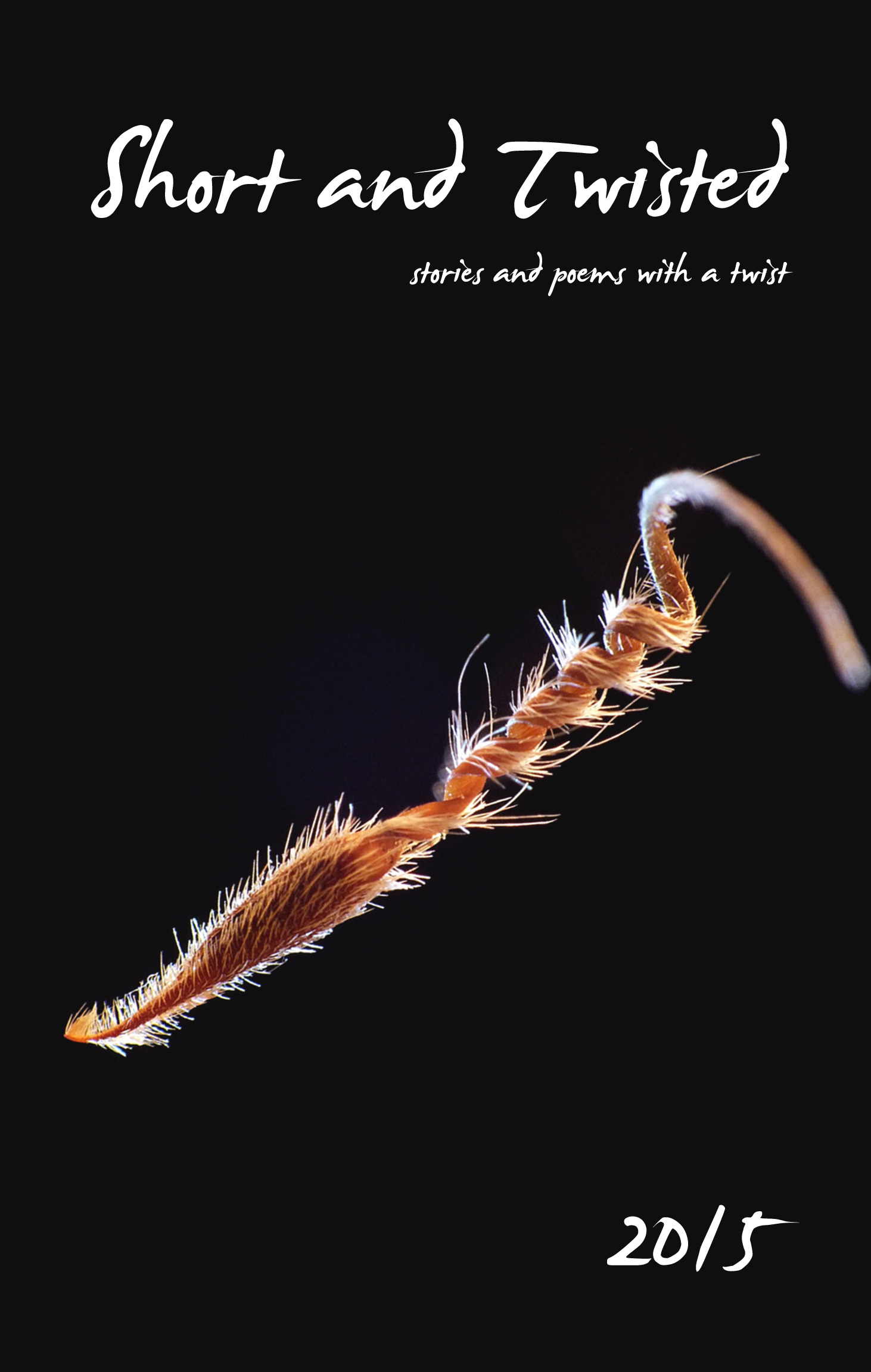 Short and Twisted stories and poems with a twist 2015 by Dimity Powell ...