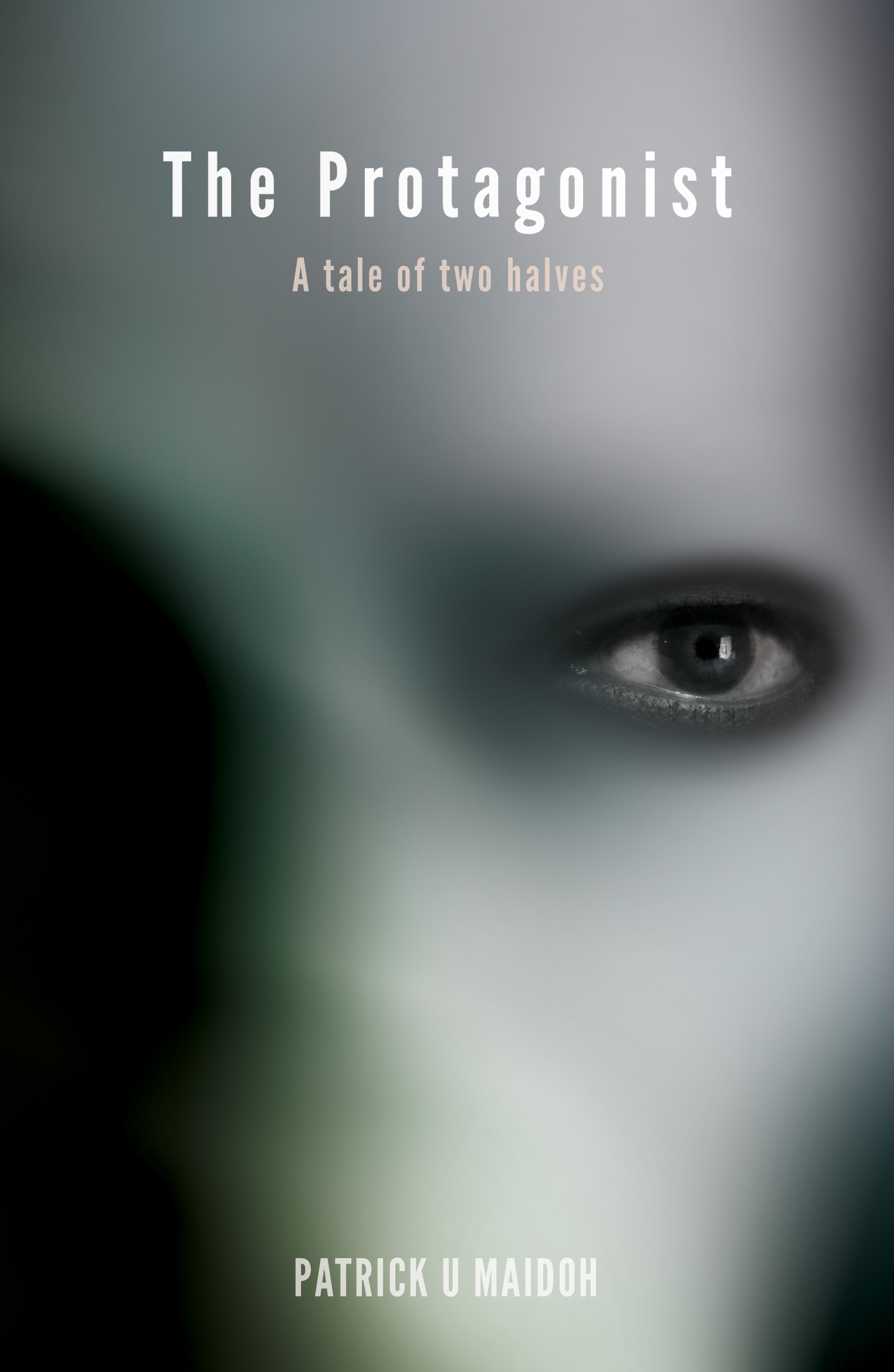 The Protagonist: A Tale Of Two Halves by Patrick U. Maidoh | Goodreads