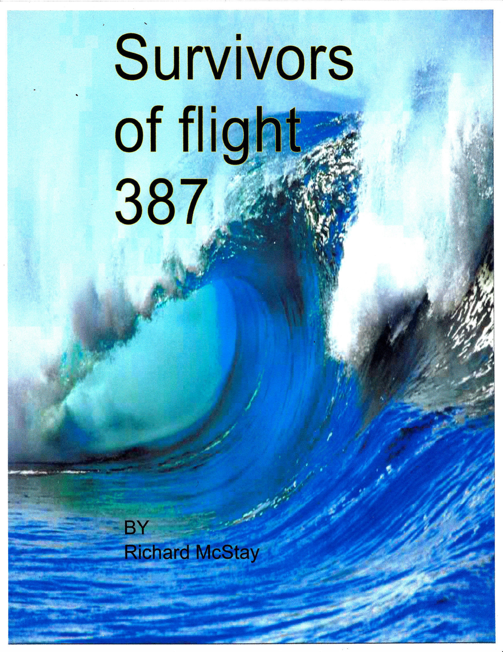 Survivors of Flight 387 by Richard McStay | Goodreads