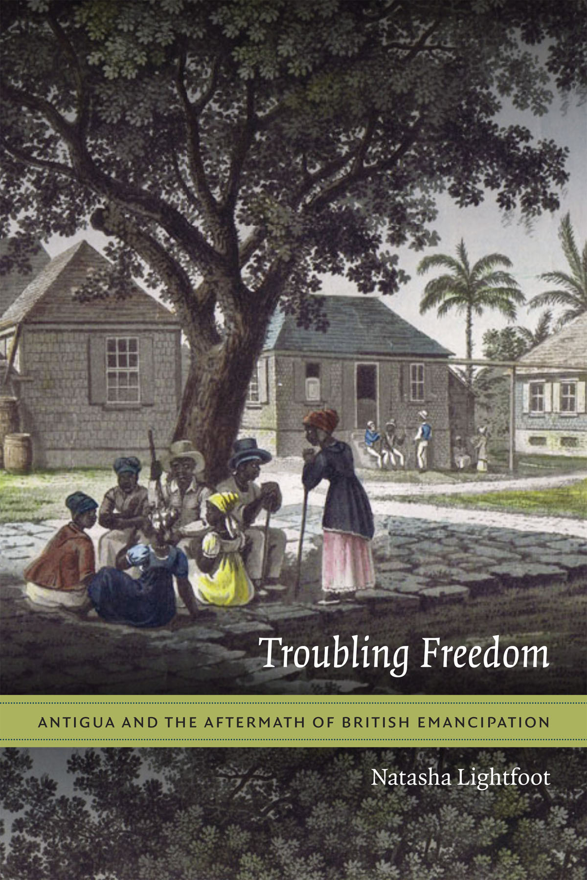 Troubling Freedom: Antigua and the Aftermath of British Emancipation by ...
