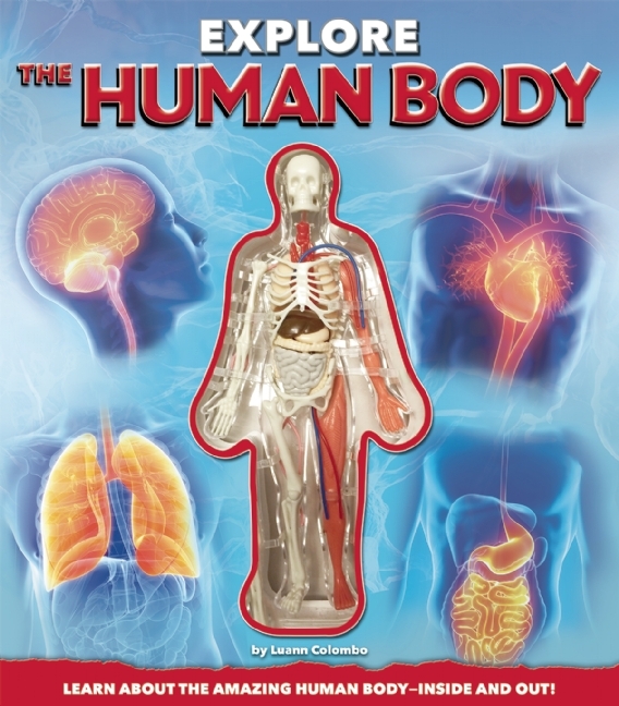 Explore the Human Body by Luann Columbo | Goodreads