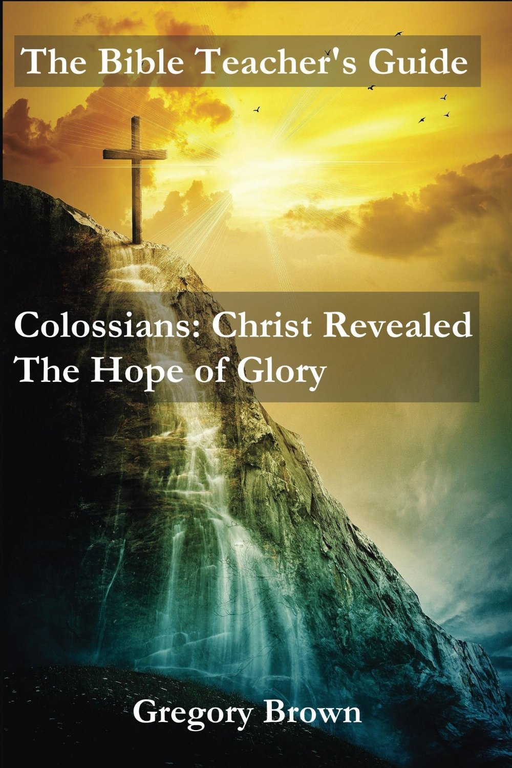 The Bible Teacher's Guide: Colossians: Christ Revealed: The Hope of ...