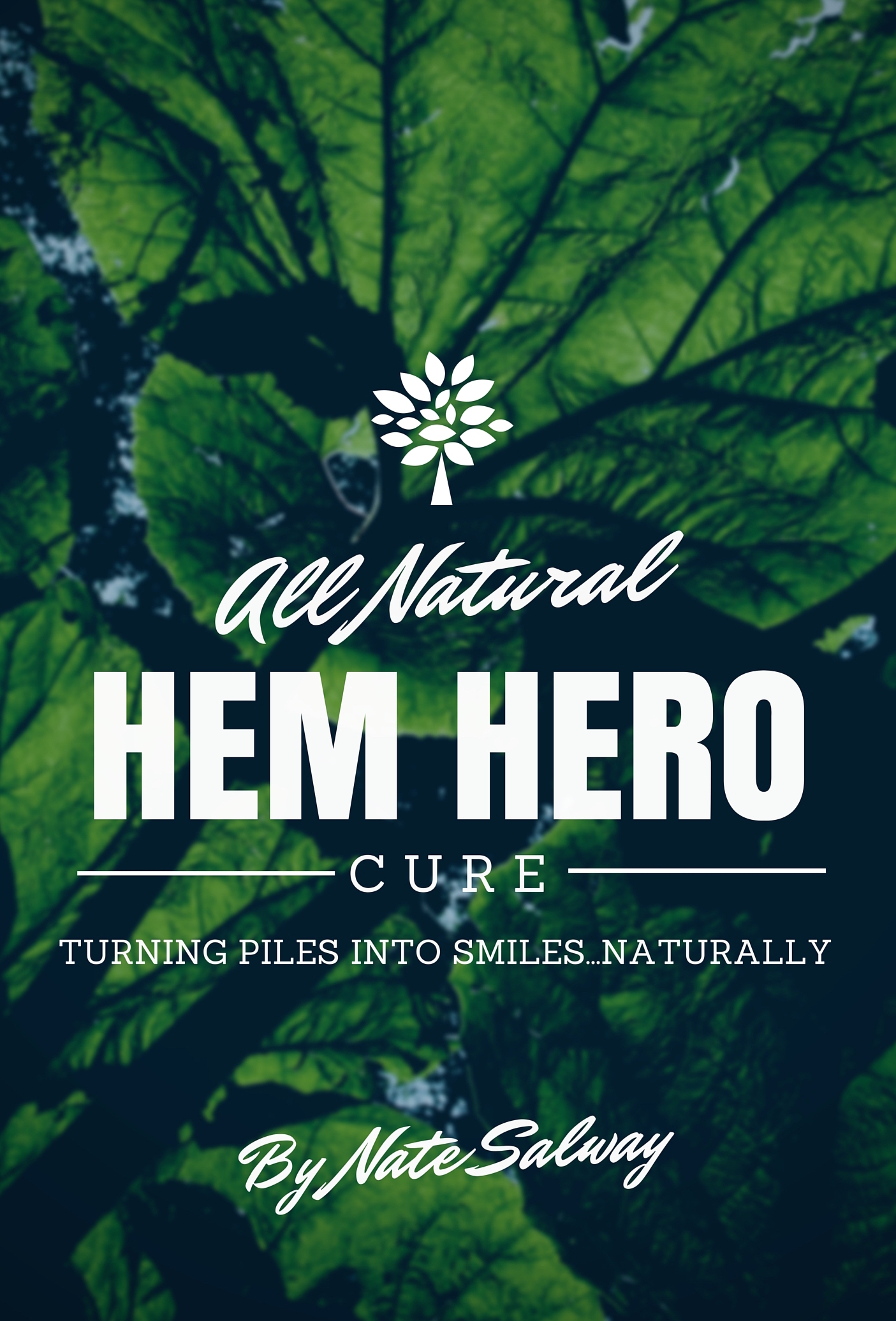 Hem Hero: 100% Natural Hemorrhoids Treatment by Nate Salway | Goodreads