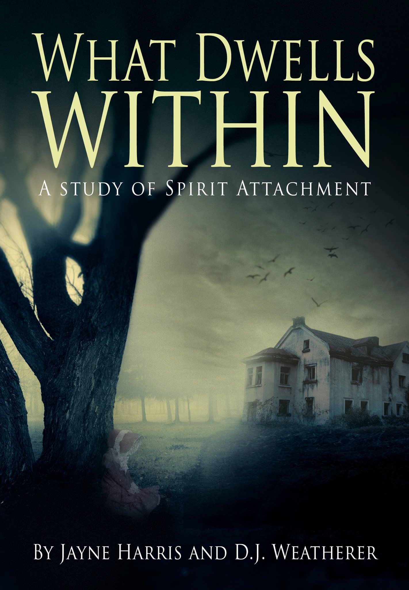 What Dwells Within - A Study of Spirit Attachment by Jayne Harris ...