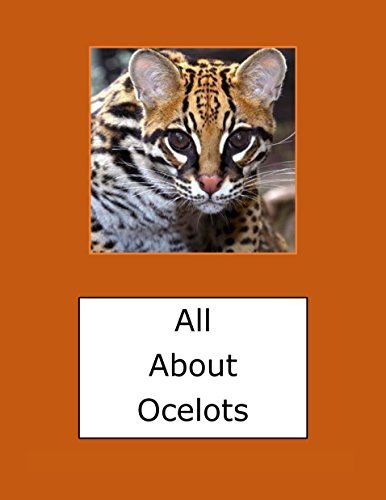All About Ocelots by S.R. Stewart | Goodreads