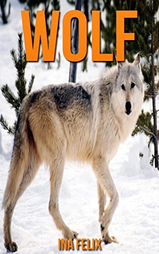 Wolf: Children Book of Fun Facts & Amazing Photos on Animals in Nature ...