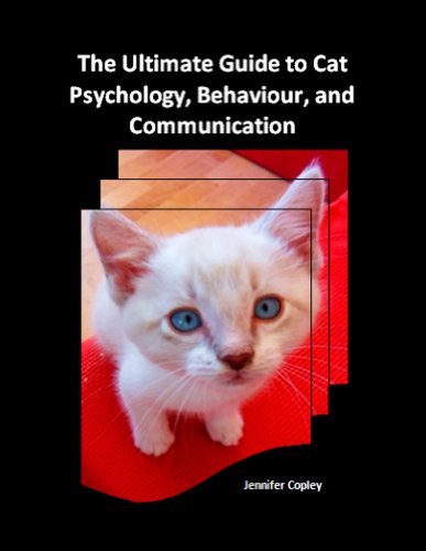 The Ultimate Guide to Cat Psychology, Behaviour, and Communication by ...