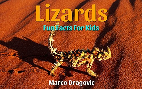 Lizards: Fun Facts For Kids, Picture Books For Kids by Marco Dragovic ...