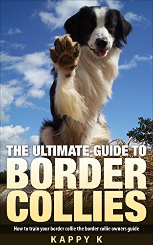 The Ultimate Guide To Border Collies: How to Train Your Border Collie ...