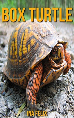 Box Turtle: Children Book of Fun Facts & Amazing Photos on Animals in ...