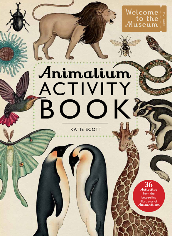 Animalium Activity Book by Katie Scott | Goodreads