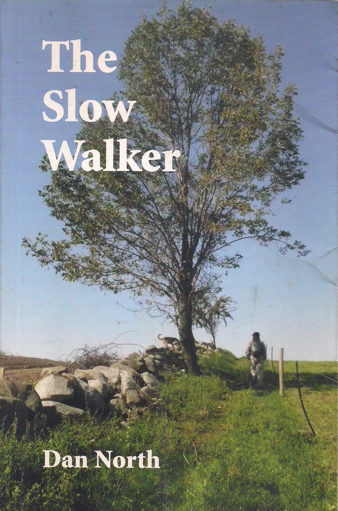 The Slow Walker by Dan North | Goodreads