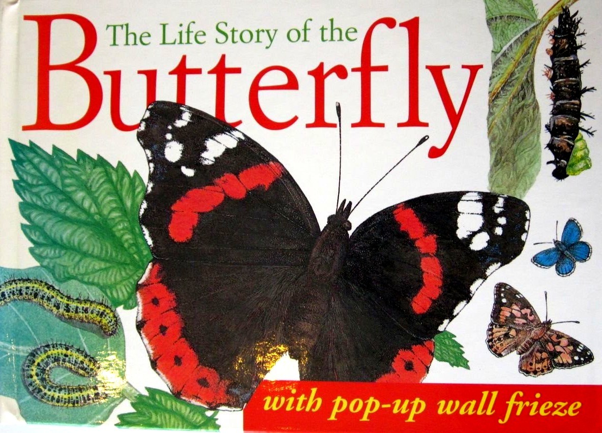 The Life Story Of The Butterfly by jilly-macleod | Goodreads