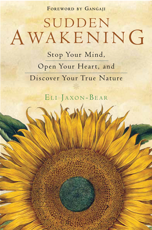 Sudden Awakening: Stop Your Mind, Open Your Heart, and Discover Your ...