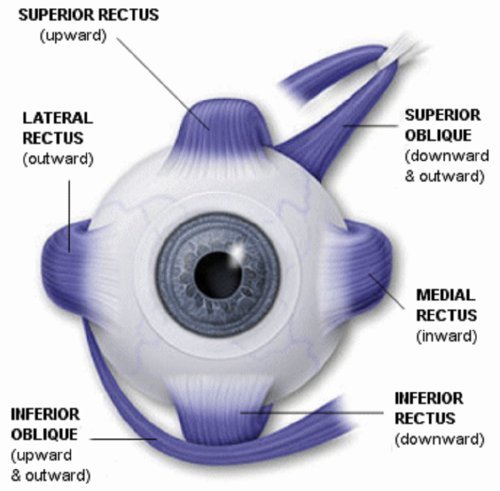 Orthoptic assessment before all types of squint surgeries by SHAHZAD ...