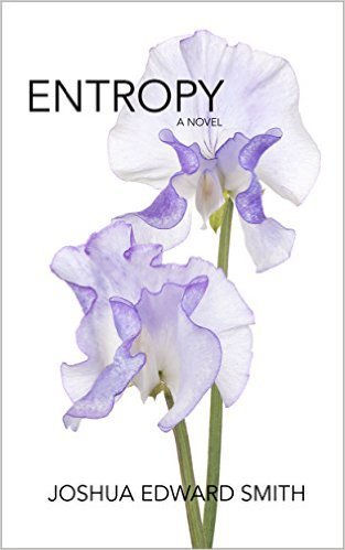 Entropy (Entropy, #1) by Joshua Edward Smith | Goodreads