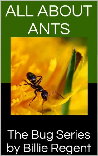 All About Ants: Ant Book For Kids With Information About Ant Colonies ...
