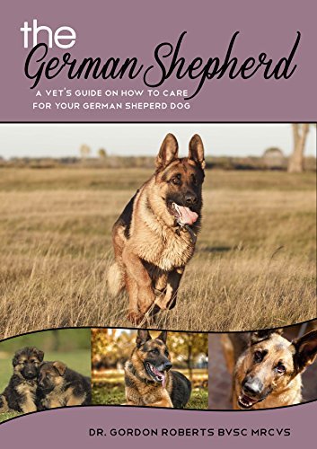 The German Shepherd: A vet's guide on how to care for your German ...