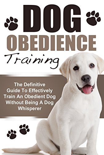 Dog Obedience Training: The Definitive Guide: 6 Mistakes To Avoid At ...