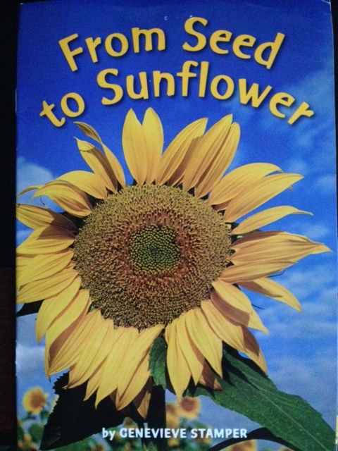 From Seed to Sunflower by Genevieve Stamper | Goodreads