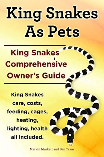 King Snakes As Pets. King Snakes Owner’s Guide. King Snakes care ...