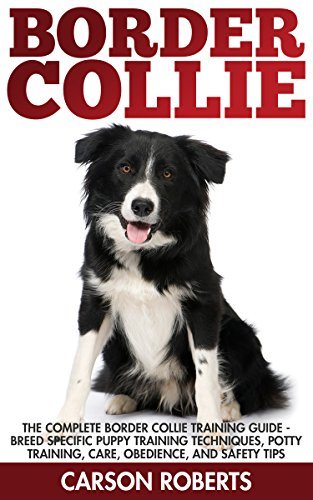 How To Potty Train Border Collies