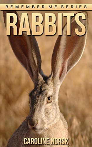 Rabbit: Amazing Photos & Fun Facts Book About Rabbits For Kids by ...