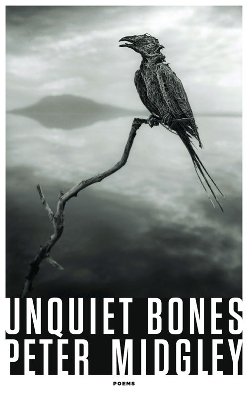 Unquiet Bones by Peter Midgley | Goodreads