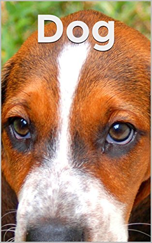 Dog: A Dog Named "Dog" by Anthony Cetrangelo | Goodreads