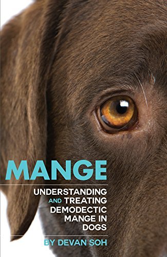 Mange: Understanding and Treating Demodectic Mange in Dogs by Devan Soh ...