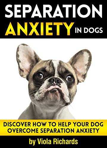 Separation Anxiety in Dogs: Discover How to Help Your Dog Overcome ...