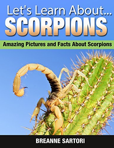 Scorpions: Amazing Pictures and Facts About Scorpions by Breanne ...