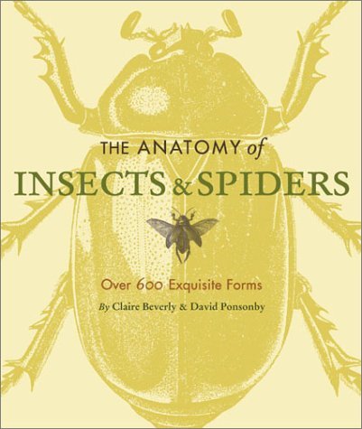 The Anatomy of Insects & Spiders: Over 600 Exquisite Forms by Claire ...