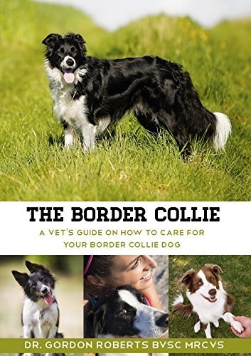 The Border Collie: A vet's guide on how to care for your Border Collie ...